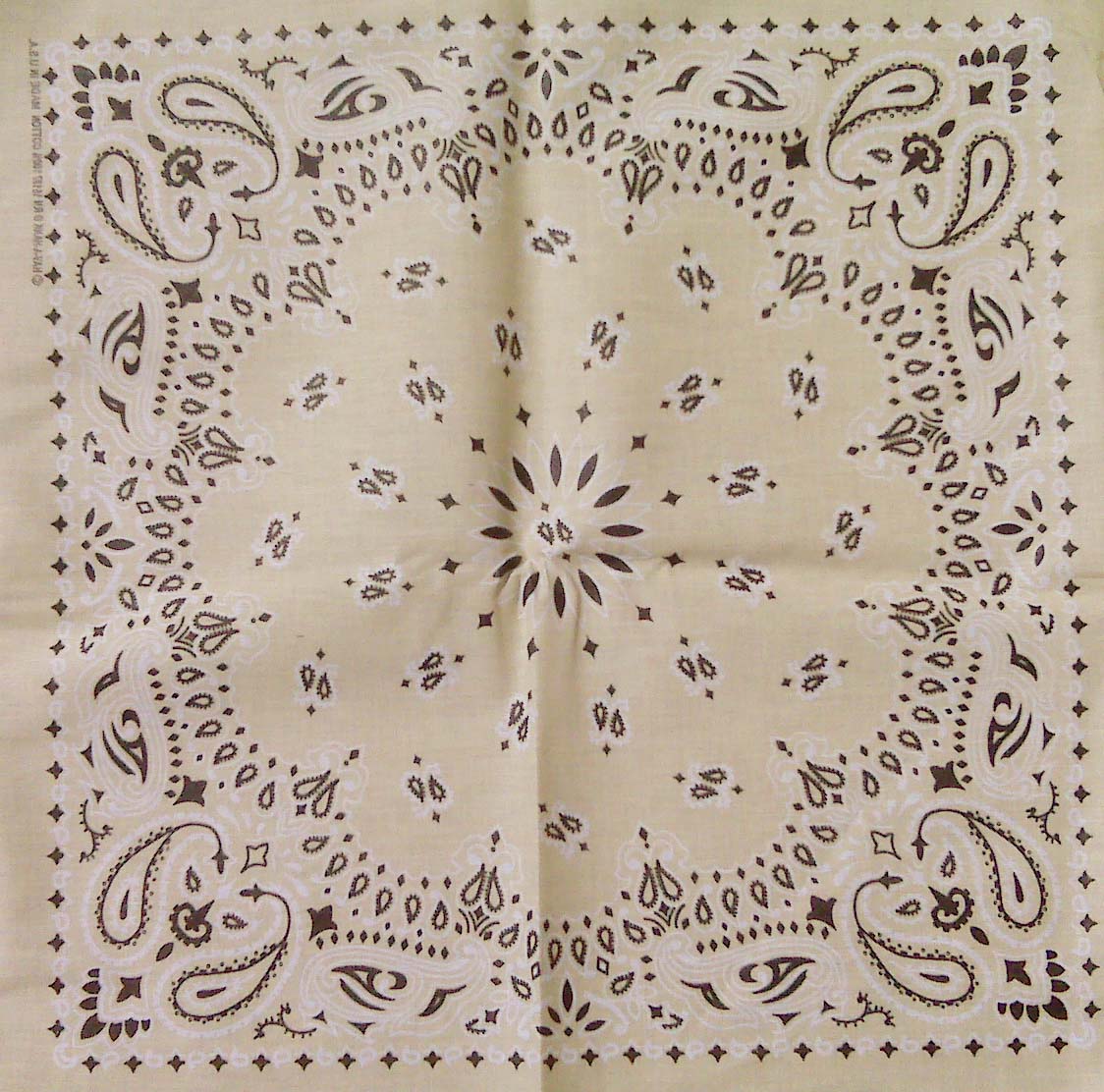 Beige Paisley Bandana